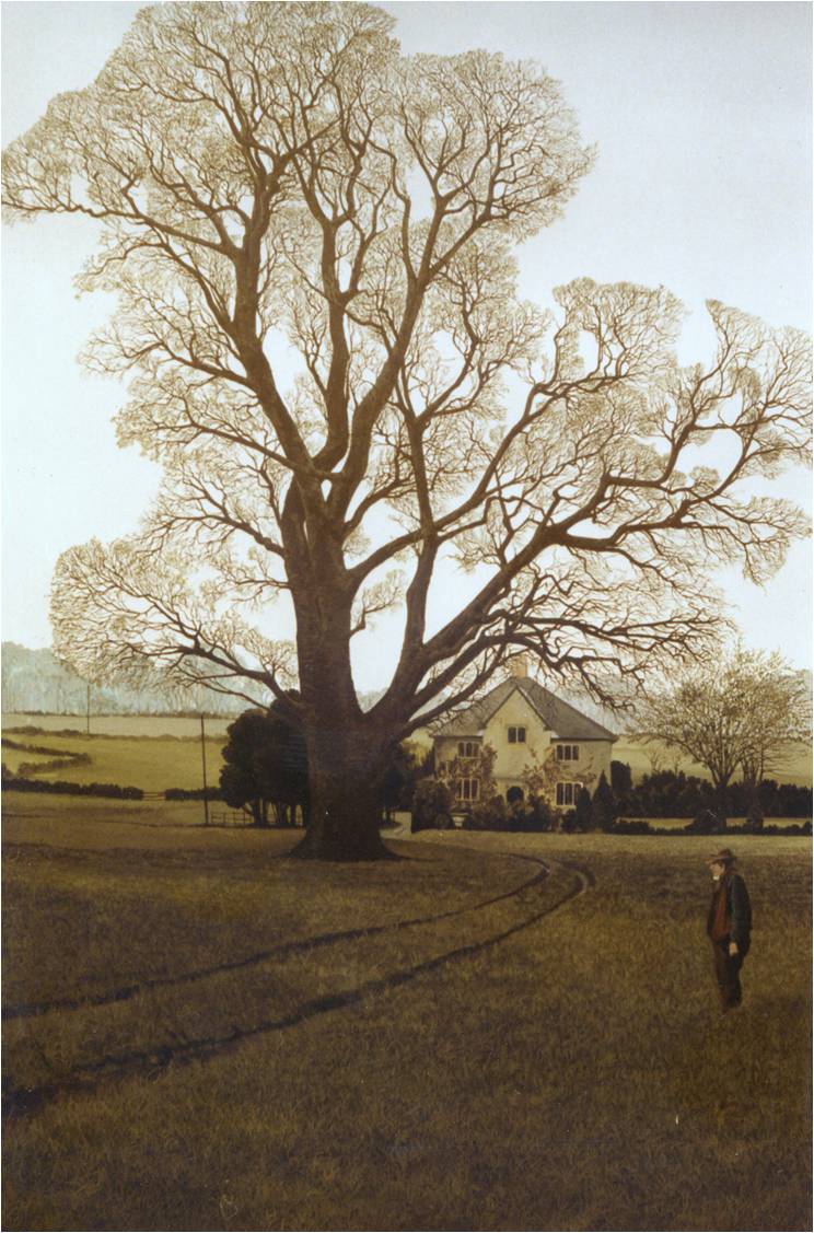 Robin Gray Art Works